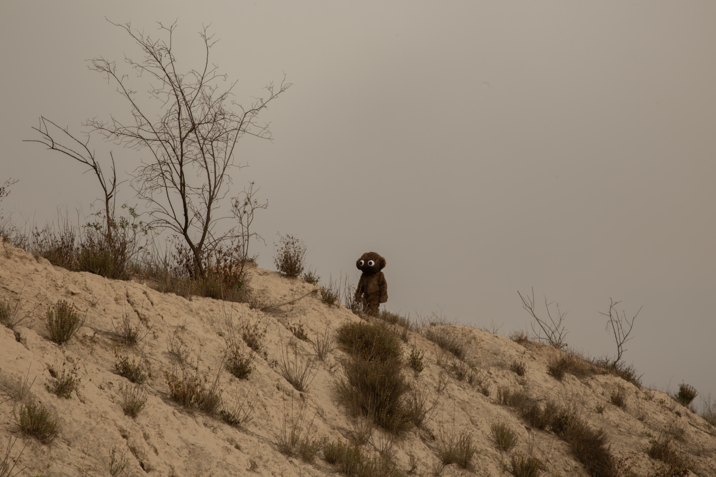 Exhibitions | documenta